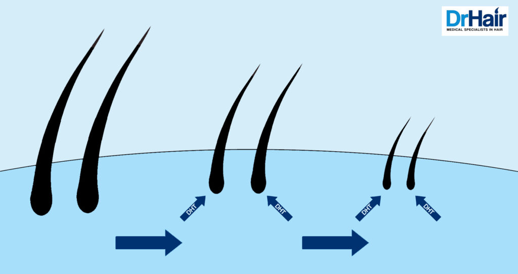 Dr. Hair — Medical Specialists In Hair