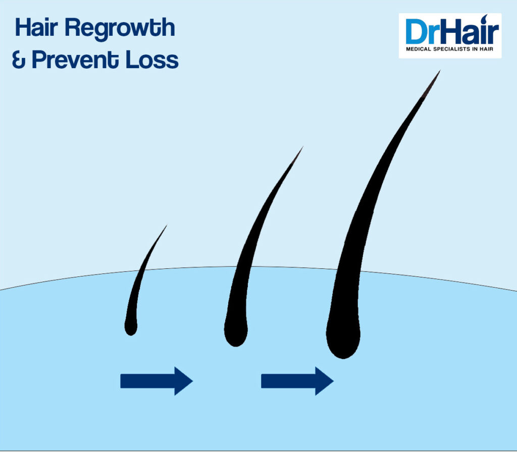 Dr. Hair — Medical Specialists In Hair